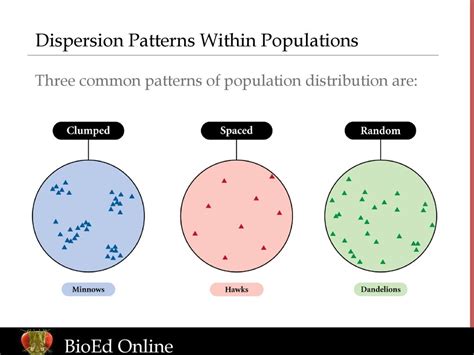 Bioed Online Interdependence Of Life Introductions To Populations