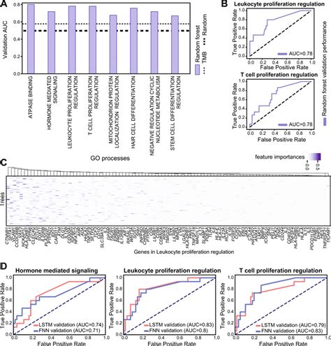 Nonlinear Classifiers Enhance The Prediction Performance Of Melanoma Download Scientific