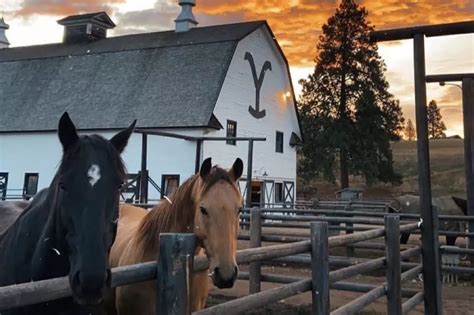 Yellowstone Fans Can Enjoy A Stay At The Historic Dutton Ranch