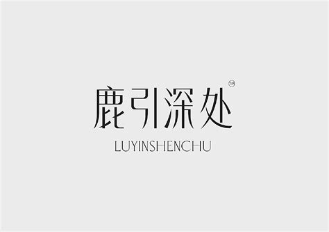 女装品牌logo 设计 Vi设计品牌设计师lidin 站酷zcool