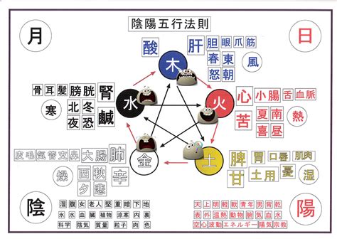 孫真人說不知易何以為醫