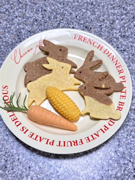 부산 강아지수제간식 원데이클래스 달래홀릭 강아지양갱 네이버 블로그