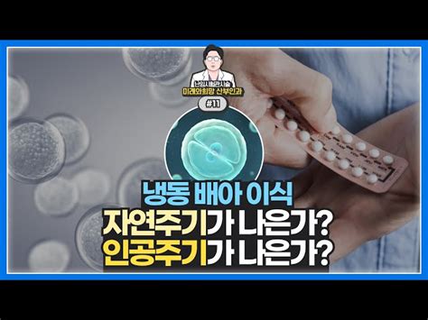 시험관 냉동배아 할때 자연주기 인공주기란 무엇이고 성공 확률이 높은 것은