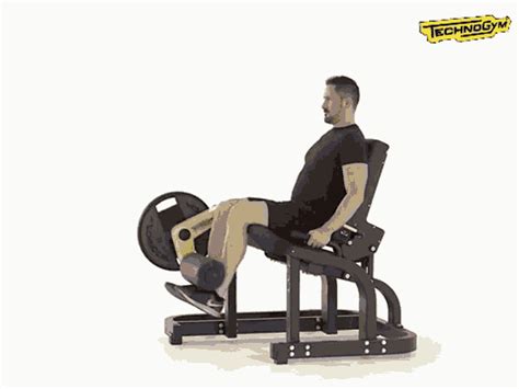 Leg Extension Machine Leg Extension Machine Descobrir E