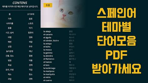 스페인어 테마별 단어모음 무료 Pdf 받아가세요 Youtube