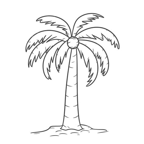 Palm Tree Coloring Pictures To Draw In Outline Sketch Drawing Vector Palm Tree Drawing Tree