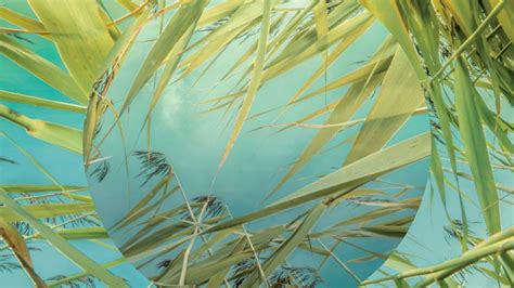 Are You A Middle Manager Who Wants To Make A Difference Hbr Article On