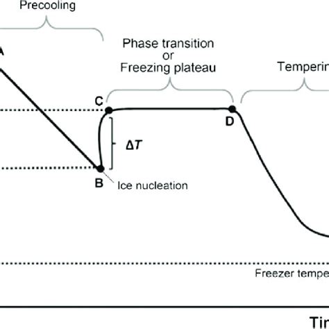 Real Time Temperature Plots Obtained During Conventional Freezing Red Download Scientific Real Time Temperature Plots Obtained During Conventional Freezing Red Download Scientific