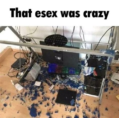 That Esex Was Crazy Ifunny Fun Facts Ifunny Photo And Video