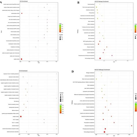 quality analysis of sequencing data a principal component analysis