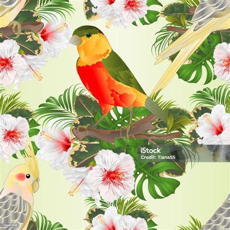 원활한 질감 노란색 Cockatiels 귀여운 열대 조류 재미 앵무새와 열대 조류와 흰색 히비스커스 수채화 스타일에 녹색 배경 빈티지 벡터 일러스트 레이션 편집 가축에 대한