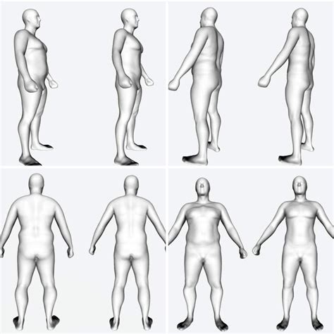 Third Gender Body Structure