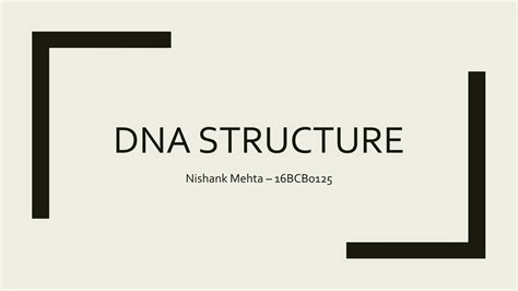Dna Structure Ppt