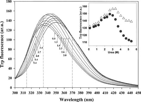 Trp Fluorescence Spectra Of Apomyoglobin At Various Urea Concentrations Download Scientific