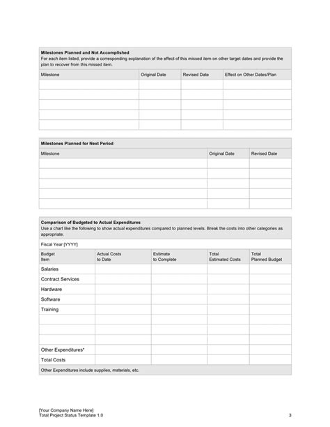 Total Project Status Template In Word And Pdf Formats Page 3 Of 4