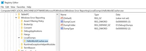 How To Capture And Debug Net Application Crash Dumps In Windows 121 Kilobytes