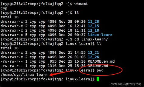 linux 基本指令 csdn linux命令 csdn博客