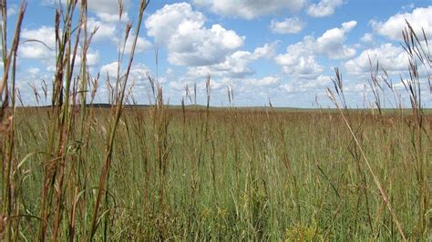 Kansas Tallgrass Prairie National Preserve Tallgrass Prairie National Preserve Tallgrass