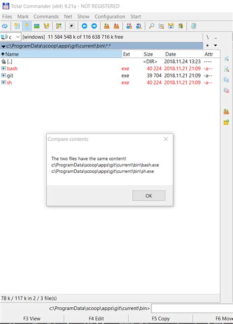 Git Manifest And It S Binaries Issue Scoopinstaller Scoop Github