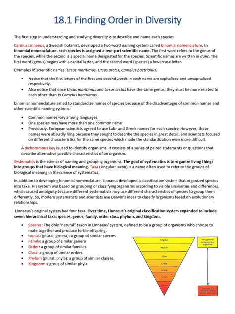 chapter 18 classification summary pdf eukaryotes taxon