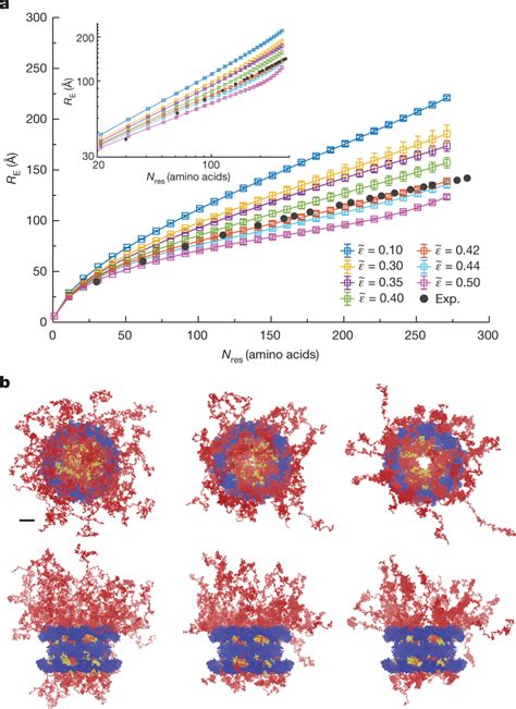 Coarse Grained Md Simulations Of Fg Nups In Npc Model Ii A