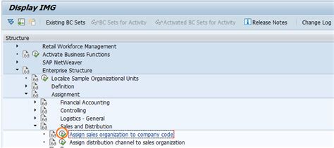 Sap Sd Assign Sales Organization To Company Code