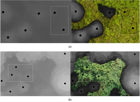 Ab Annotated Treetops On Small Trees Were In Dsm Left But Do Not