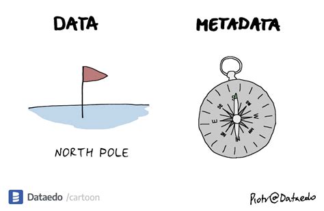 Data Vs Metadata 12 Dataedo Data Cartoons
