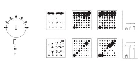 Effect Of Multisensory Training On Sound Localization Accuracy In