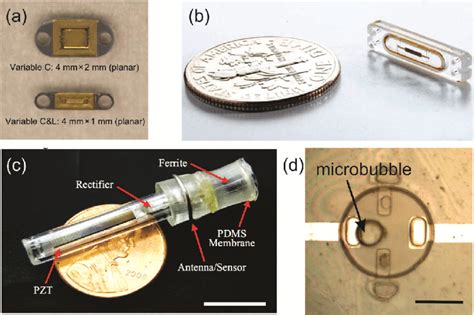 Examples Of Implantable Pressure Sensor Systems Currently In Download Scientific Diagram