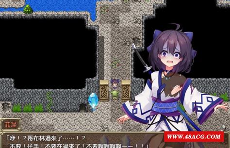 【爆款rpg 中文】精灵努隶御子菲涅：外传三部曲 官方中文步冰版 存档【新作 慎重 2g】