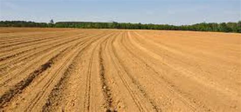 Намаляват цените на производител в селското стопанство Profit Bg