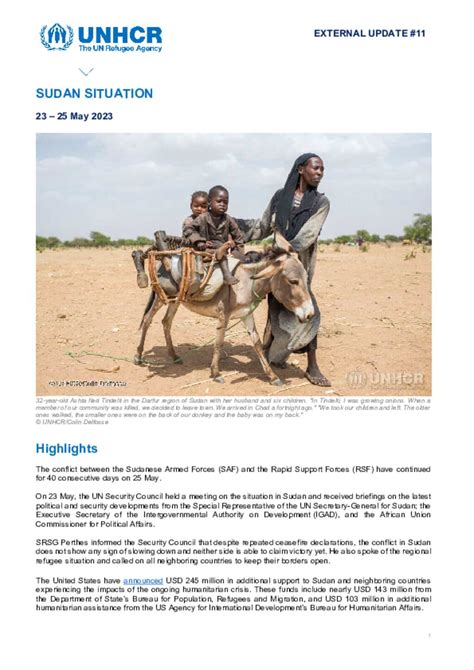 Document Sudan Situation Unhcr External Update 11 25 May 2023
