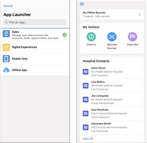 Salesforce Mobile App Plus