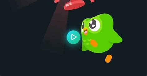 Is It Just Me Or Did The Animations Break Rduolingo