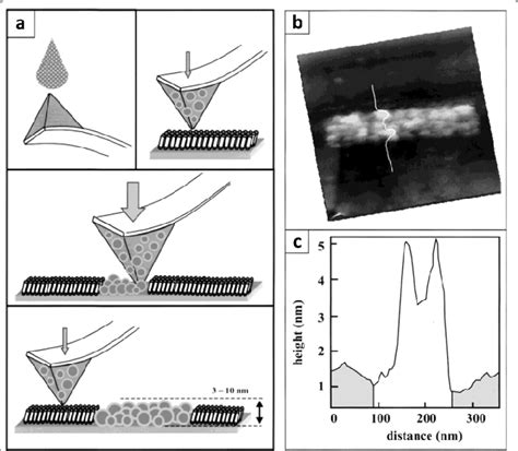Nanoparticle Patterning With Surface Active Nanoparticles Using