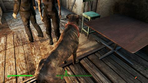 Problems Of Survivor Page Downloads Advanced Animation Framework LoversLab