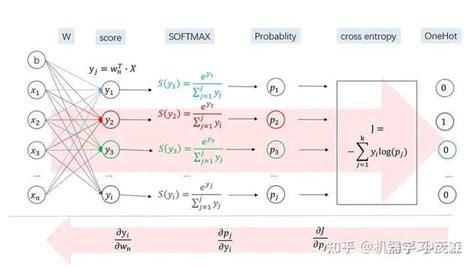 神经网络为何引入softmax函数 知乎