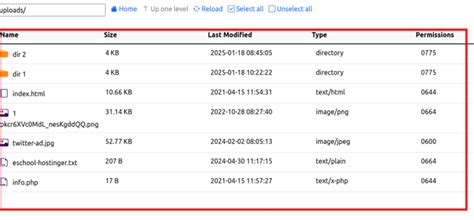 Building Simple File Manager With Laravel And Vue 3 Part2 Webmobtuts
