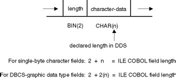 Variable Length Fields