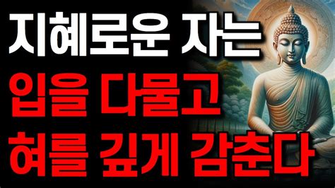 지혜로운 자는 입을 다물고 혀를 깊가 감춘다 I 나이가 들수록 입조심해야 하는 이유 I 잠 잘 때 듣는 명언 모음 I 부처님 말씀 I 쇼펜하우어 I 인생을 바꾸는 지혜