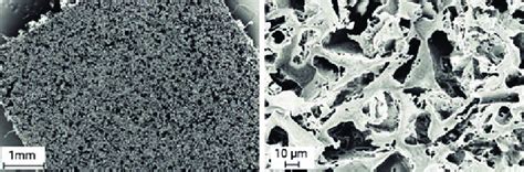 Sem Micrographs Of Open Porous Biopolymer Foams With Interconnecting