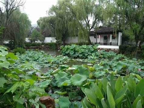 2023司徒庙门票 苏州司徒庙游玩攻略 司徒庙游览攻略路线 地址 门票价格 去哪儿攻略