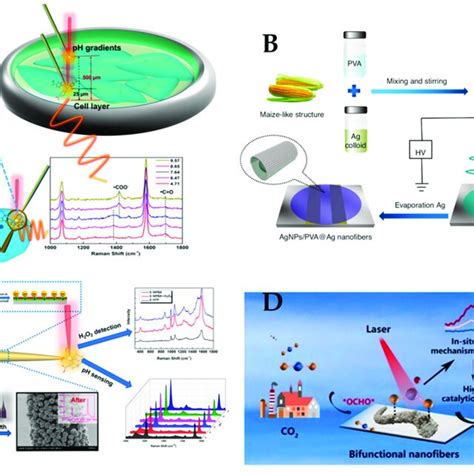 Comparison Of Different Types Of Nanofiber Raman Sensors Download