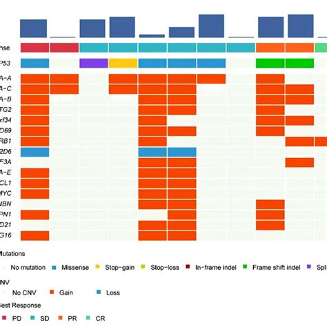 Genes With A Mutation Frequency Greater Than 20 Download Scientific