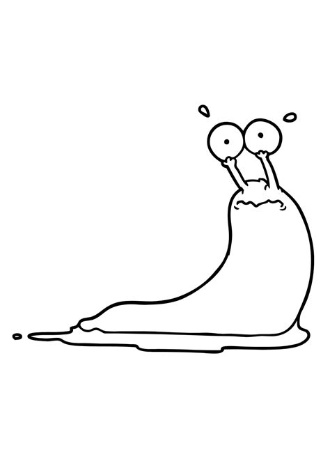 Desenhos De Lesmas Para Colorir Pdf Para Imprimir Grátis E Colorir Online