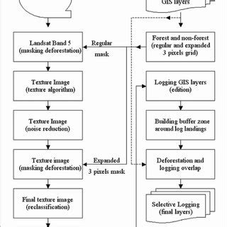Flow Diagram For Selective Logging Automated Detection Technique Download Scientific Diagram