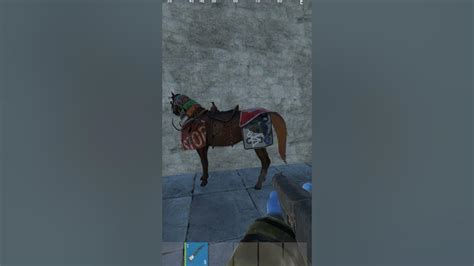 Rust 60 Second Guide To Handmade Shells Youtube