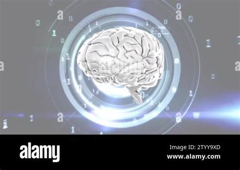 Digitally Generated Human Brain Scrolling Background Shows Glowing