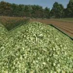 Improved Corn Texture V1 0 0 1 FS25 Net